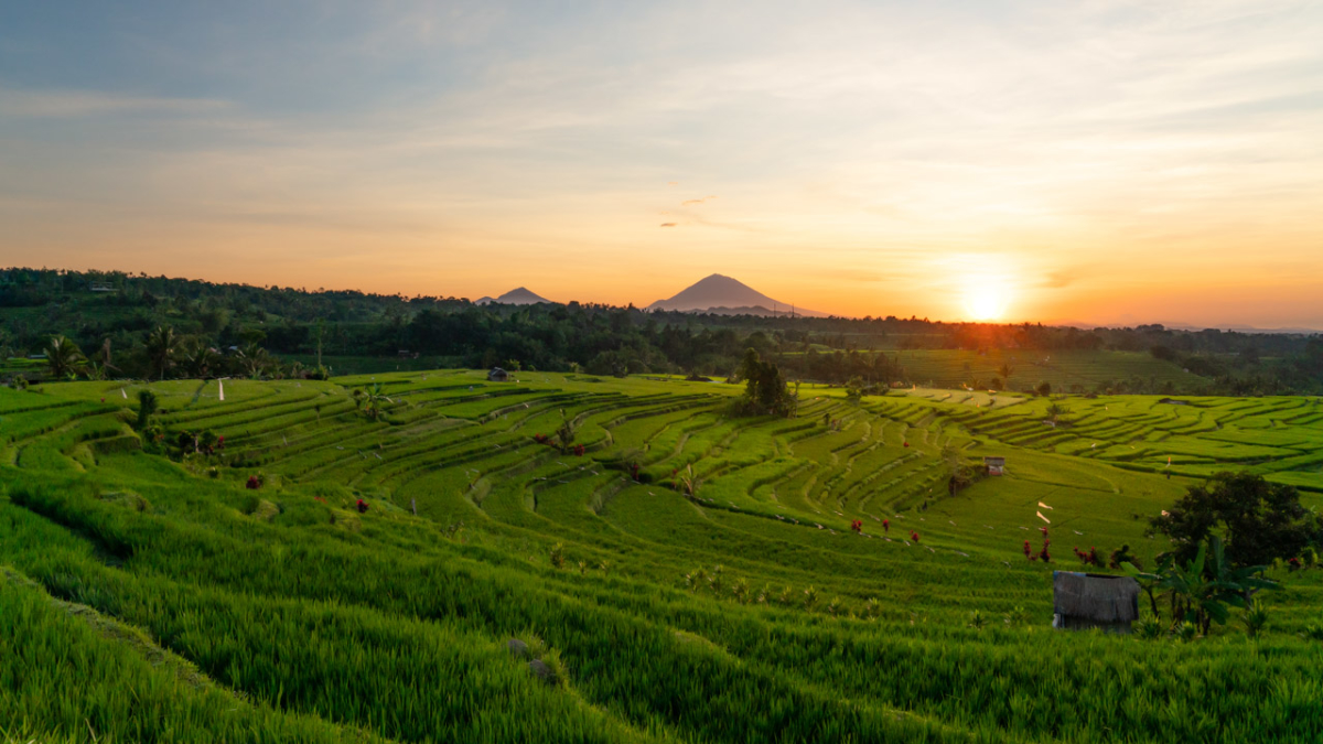20 BEST BALI VIEWPOINTS - Ultimate Bali viewpoints guide