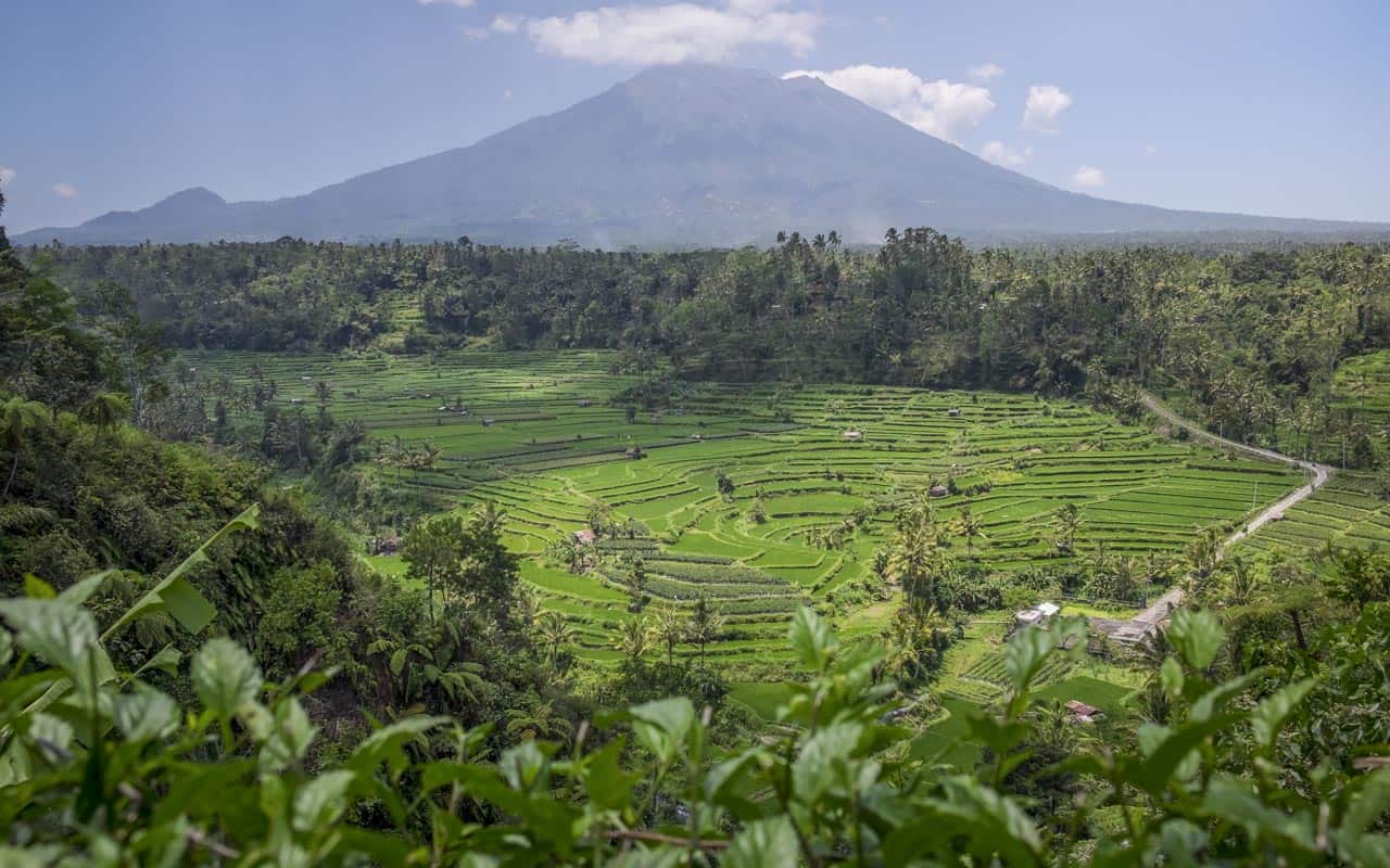 BALI RICE FIELDS BLOG - The 11 Best Rice Fields in Bali