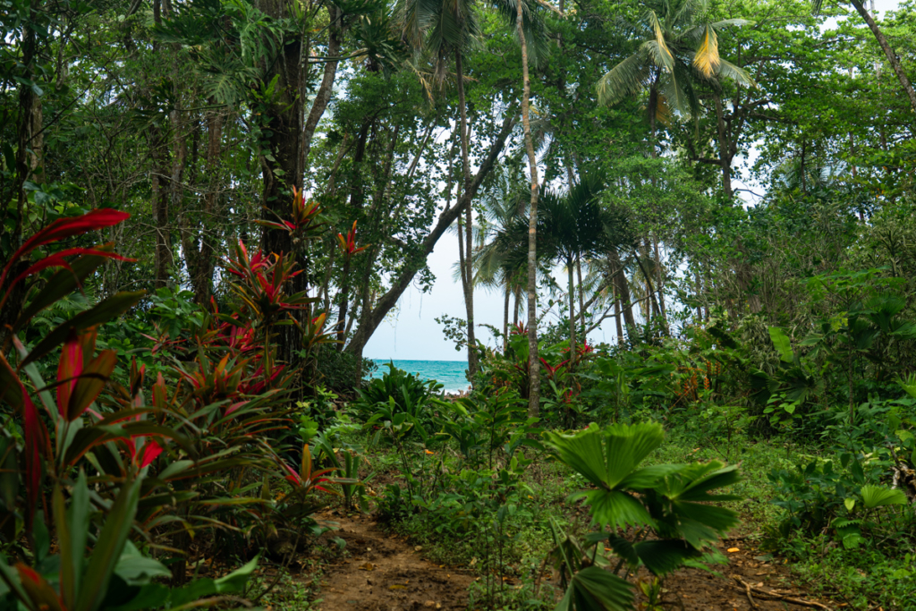 Beautiful MANZANILLO in COSTA RICA - A Must Visit