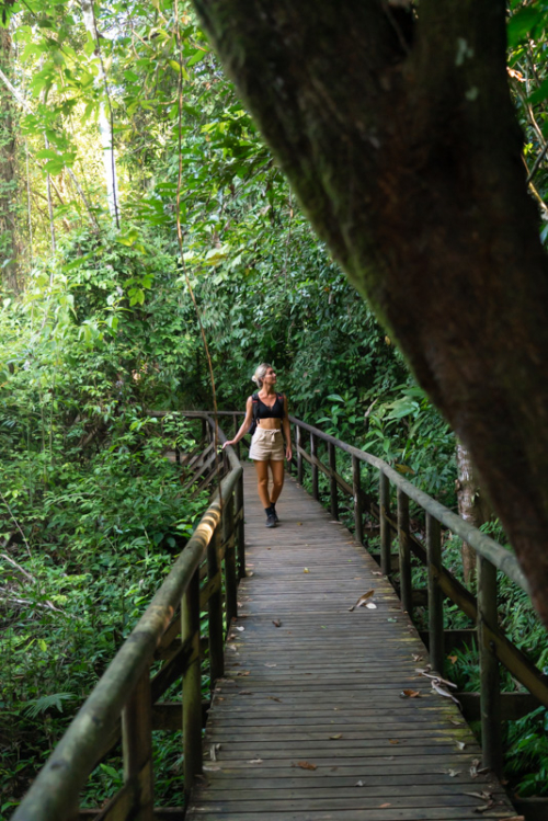 HIKING IN COSTA RICA - 20 Best Hikes in Costa Rica