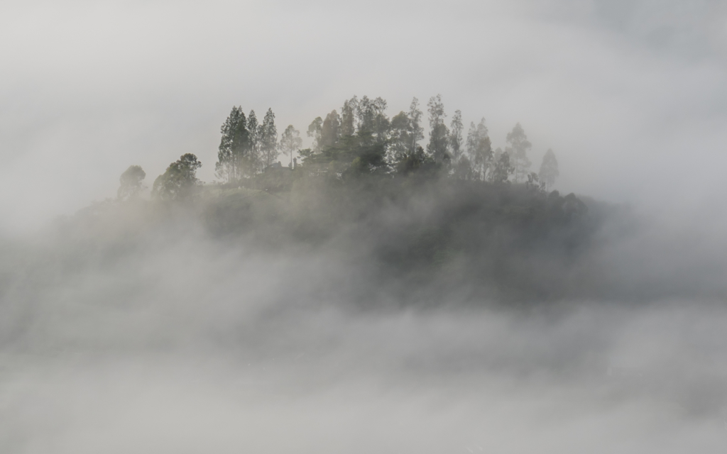 Fog Photography Tips - 10 Ways to Improve Your Skills