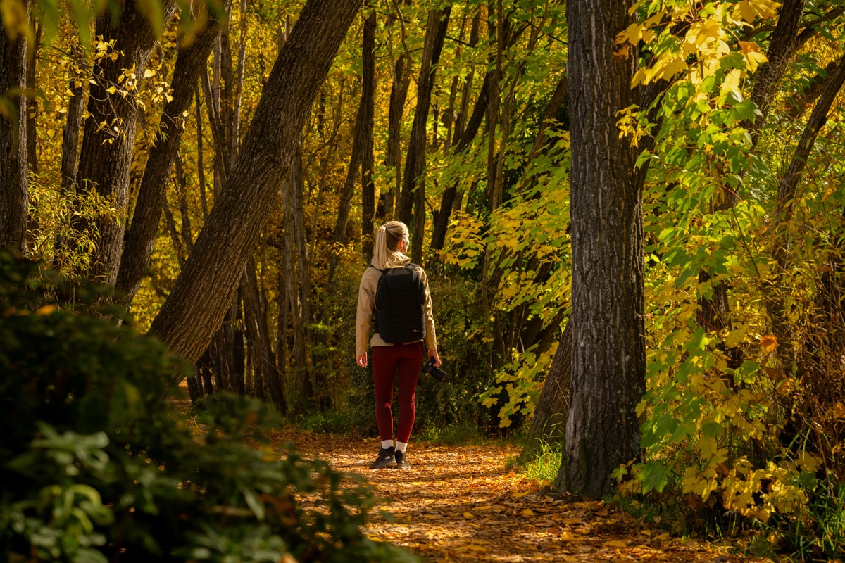 Autumn in New Zealand: Best Places to Visit & Photograph