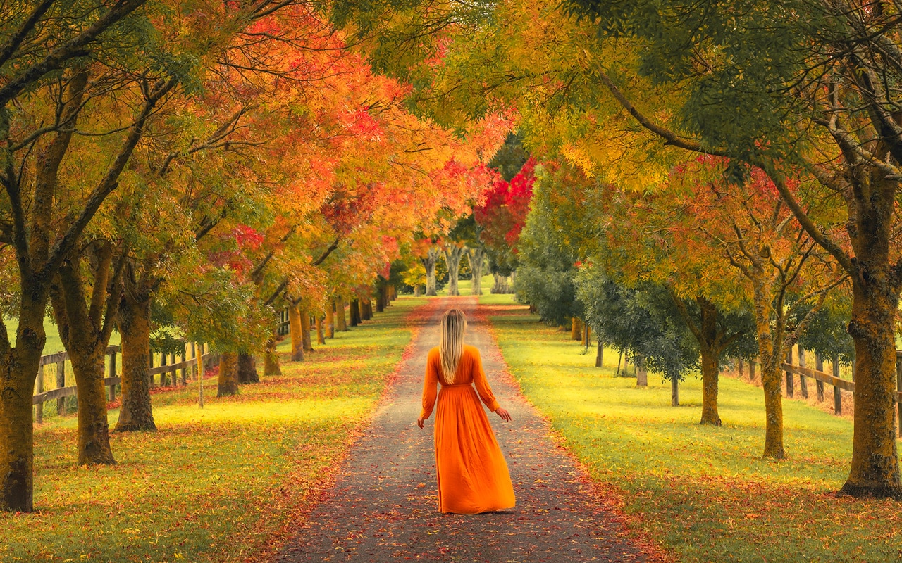 35 BEST PHOTO SPOTS South Island NEW ZEALAND