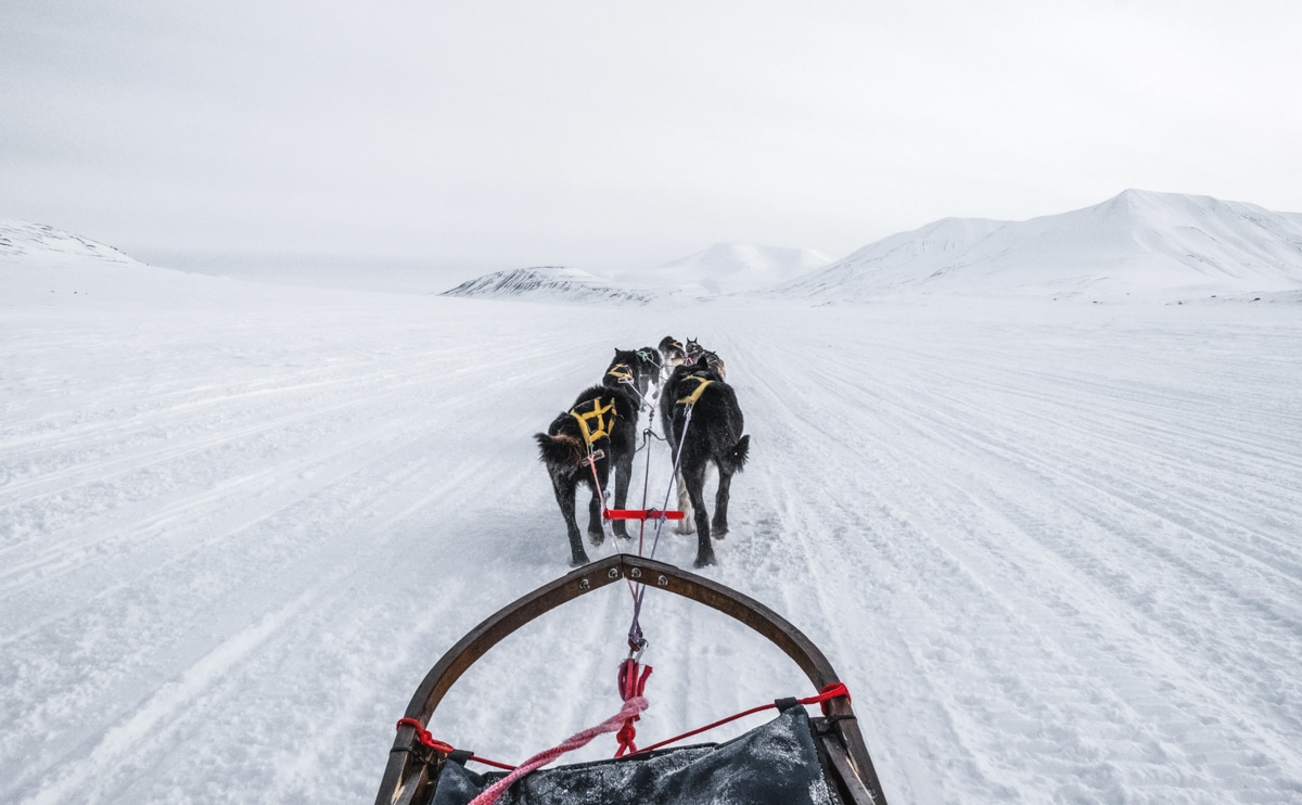 15 Most Amazing ALASKA HELICOPTER TOURS To Book