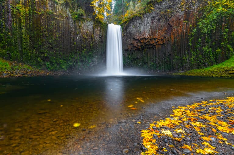 15 Stunning Oregon Hikes With Waterfalls You Must Do!