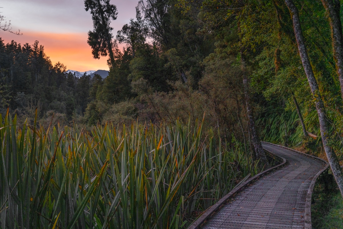 How to visit LAKE MATHESON in NEW ZEALAND