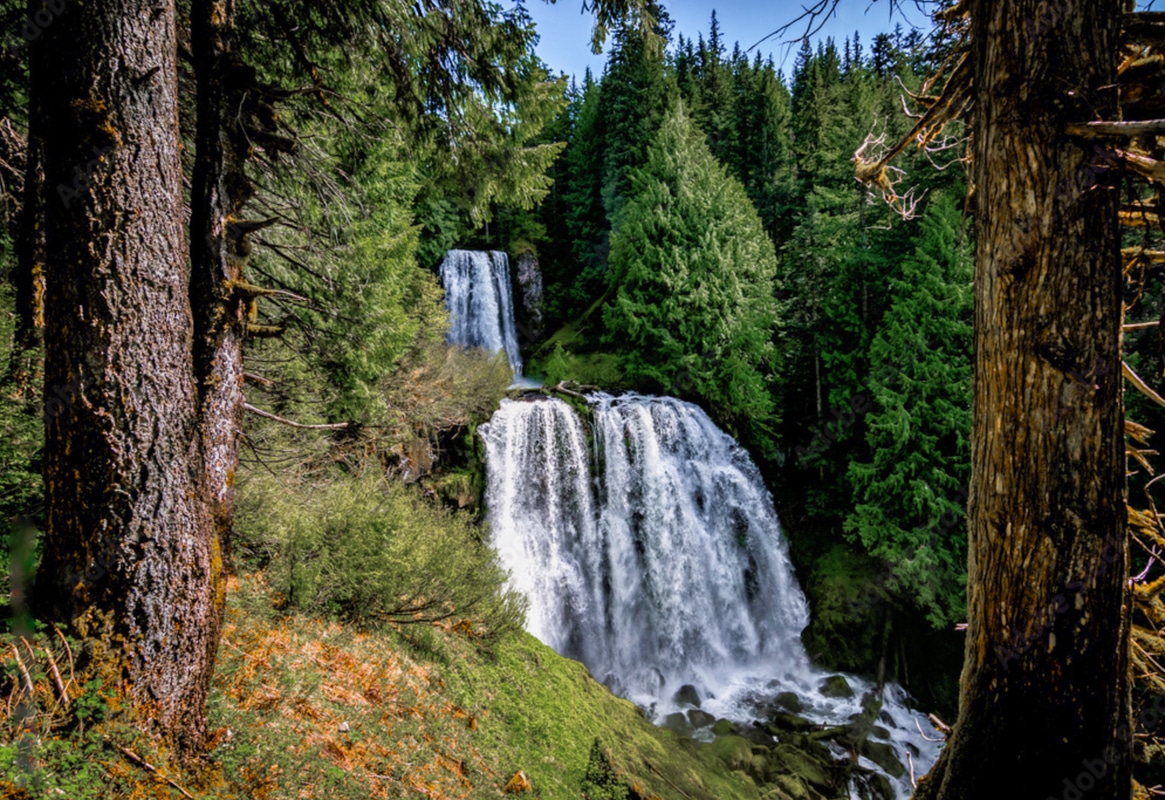 15 Stunning Oregon Hikes With Waterfalls You Must Do!