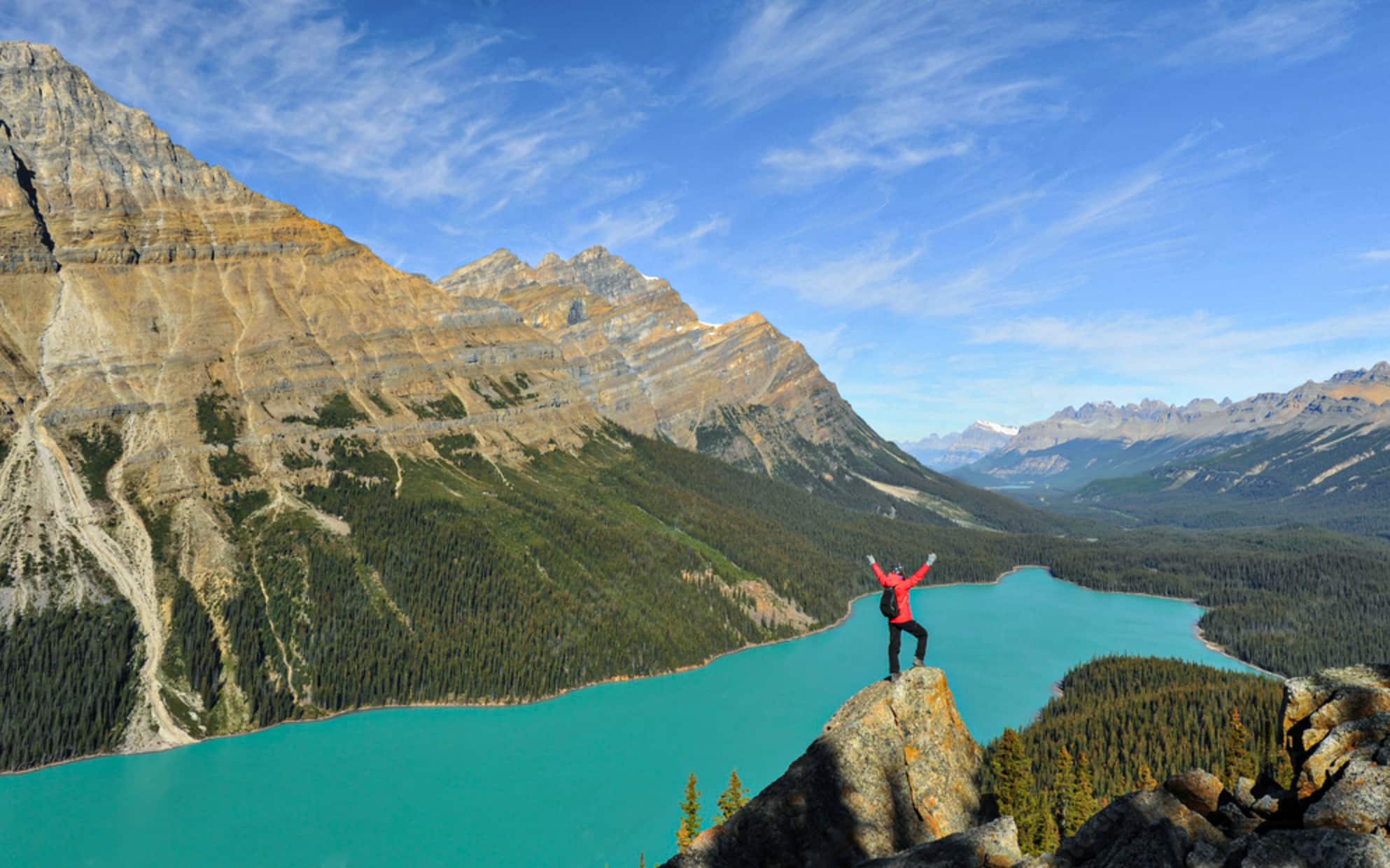 Peyto Lake Viewpoint and Hikes - All You Need to Know