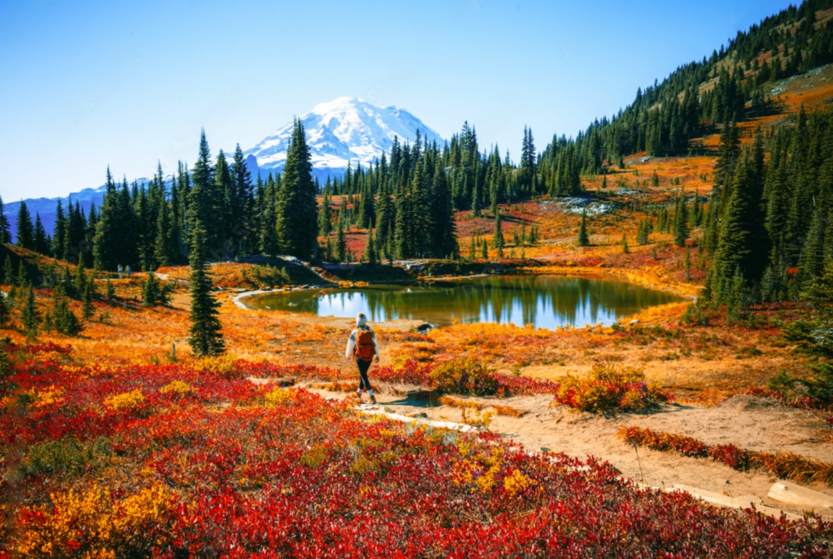 15 Best Hikes in Mount Rainier with Stunning Views